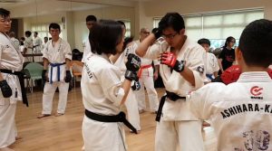What Are the various Karate Styles?
