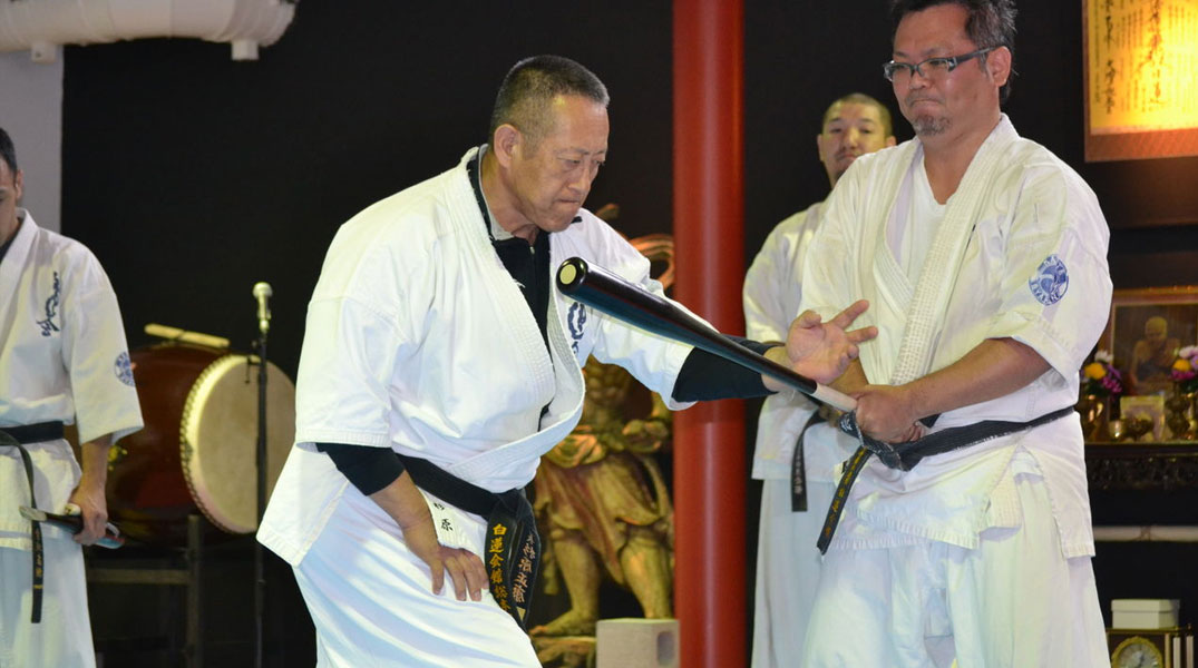 What Are the various Karate Styles?