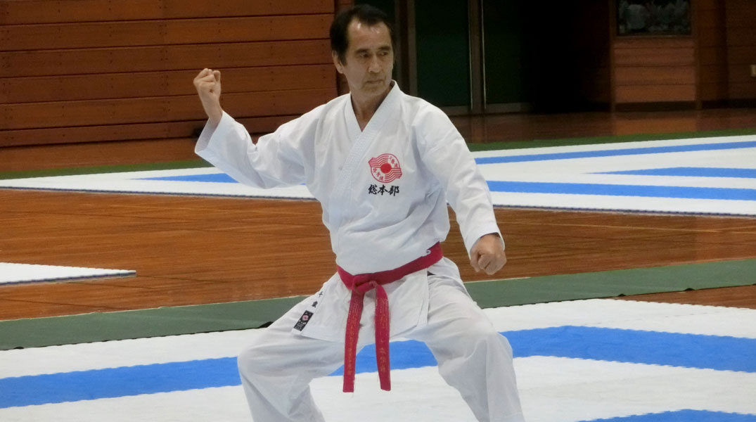 What Are the various Karate Styles?