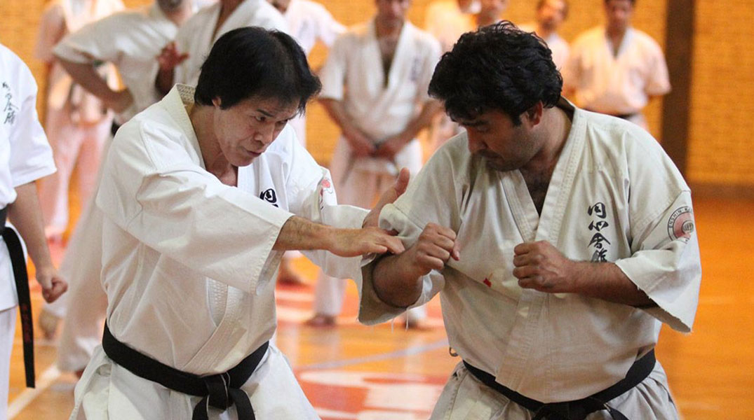 What Are the various Karate Styles?