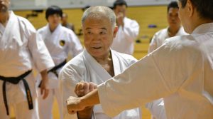 What Are the various Karate Styles?