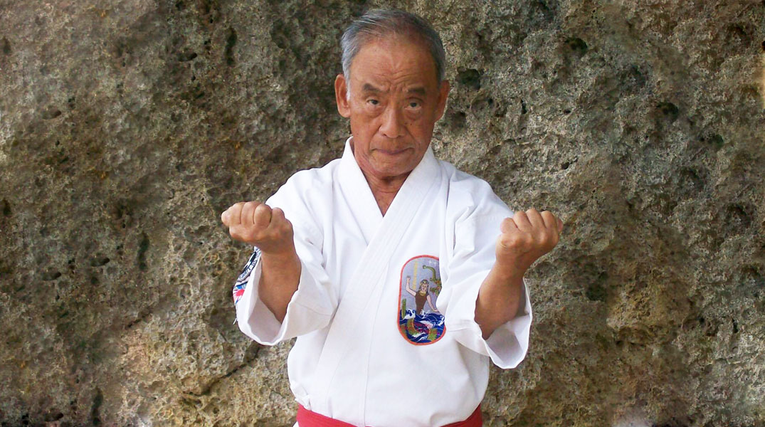 What Are the various Karate Styles?