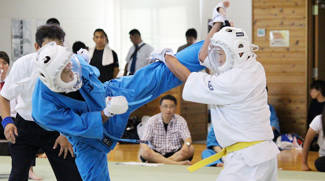 What Are the various Karate Styles?