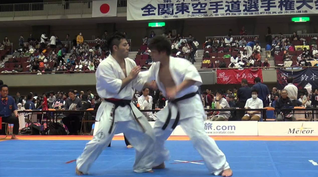 What Are the various Karate Styles?