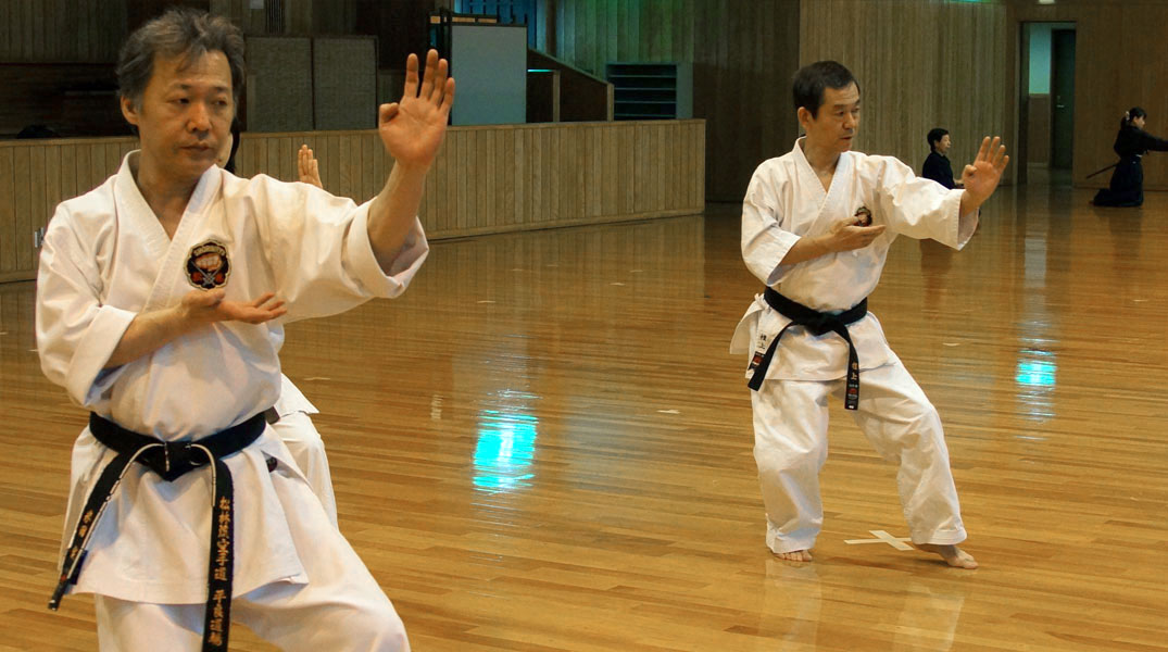 What Are the various Karate Styles?