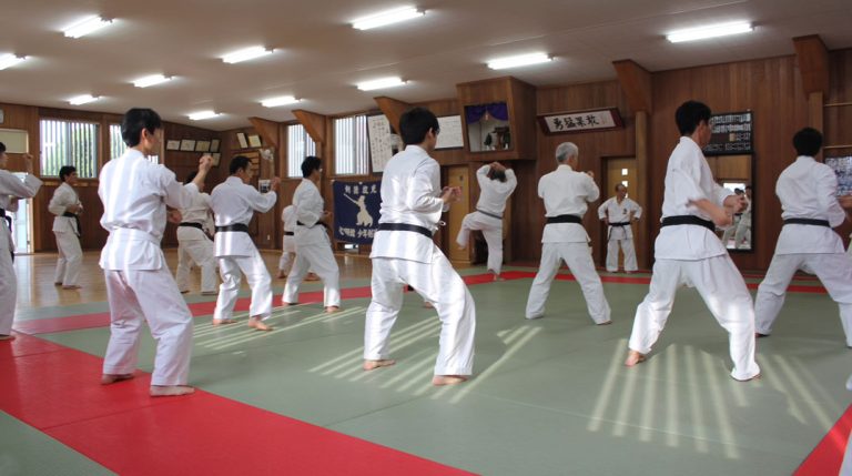 What Are the various Karate Styles?