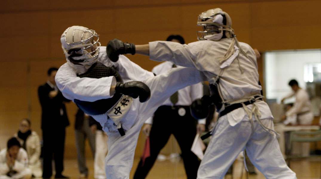 What Are the various Karate Styles?