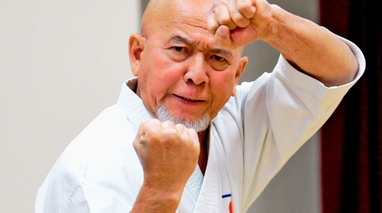 What Are the various Karate Styles?