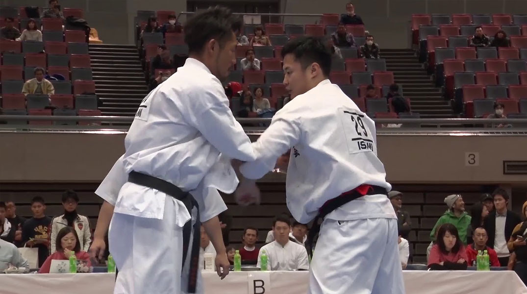 What Are the various Karate Styles?