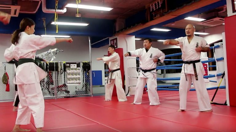 What Are the various Karate Styles?