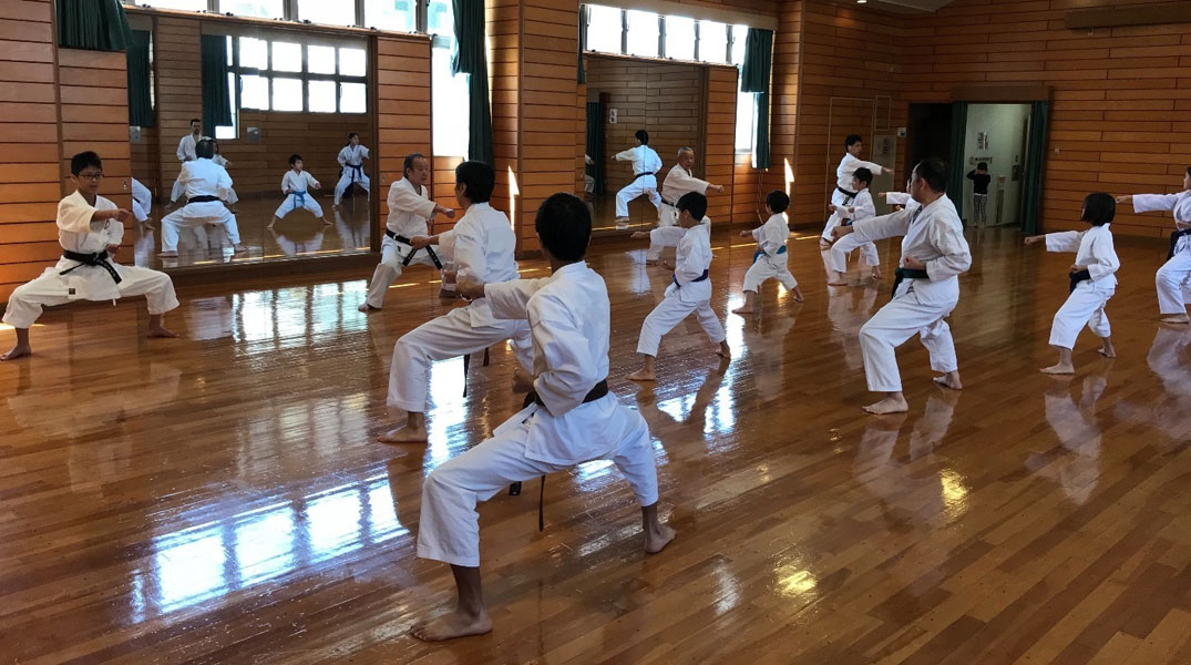 What Are the various Karate Styles?