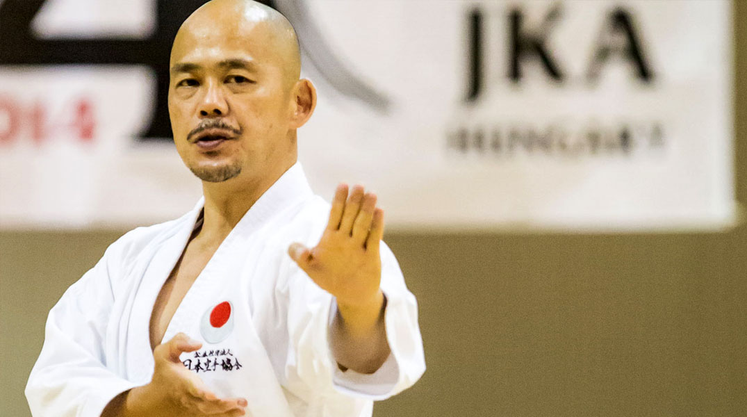 What Are the various Karate Styles?