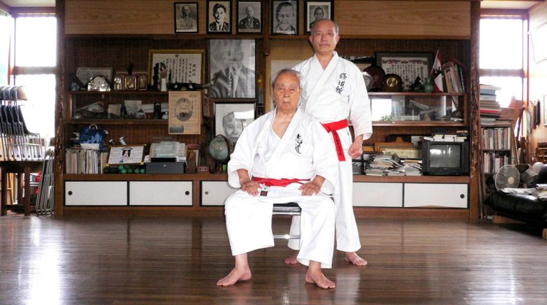 What Are the various Karate Styles?