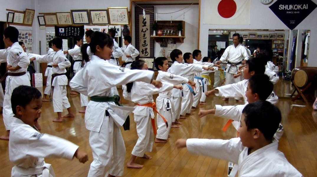 What Are the various Karate Styles?