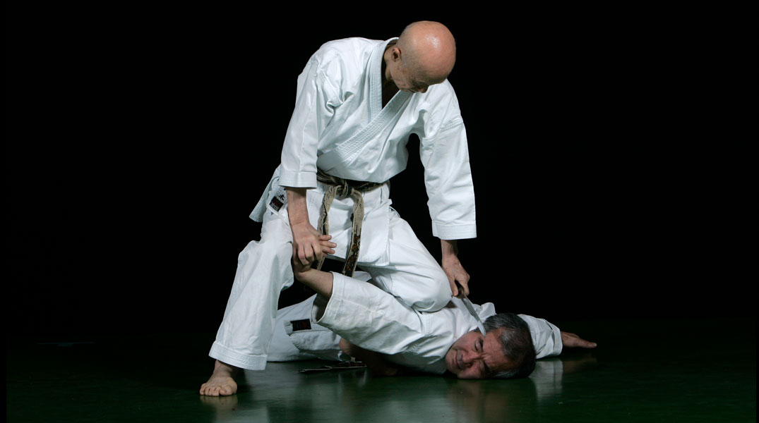 What Are the various Karate Styles?