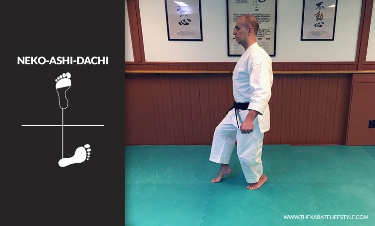 The Complete List of Basic Karate Stances