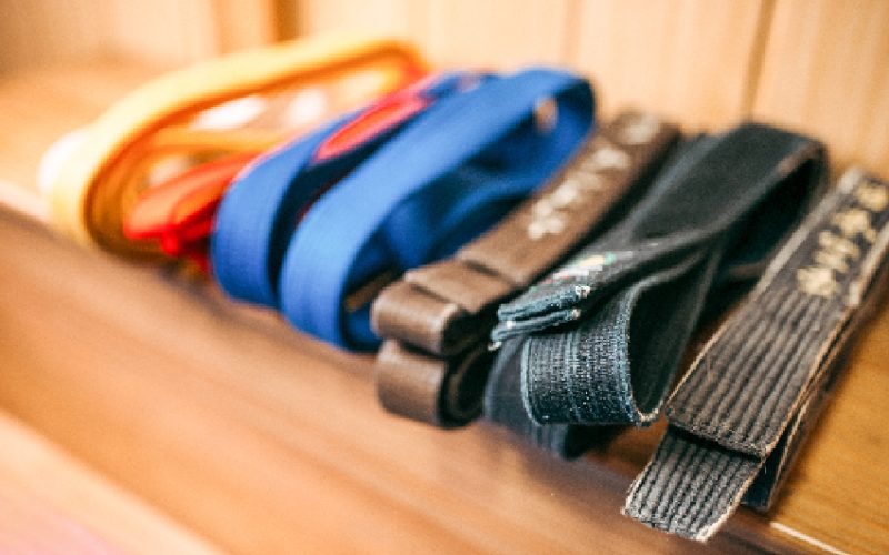 What is the Order of Belts in Karate?
